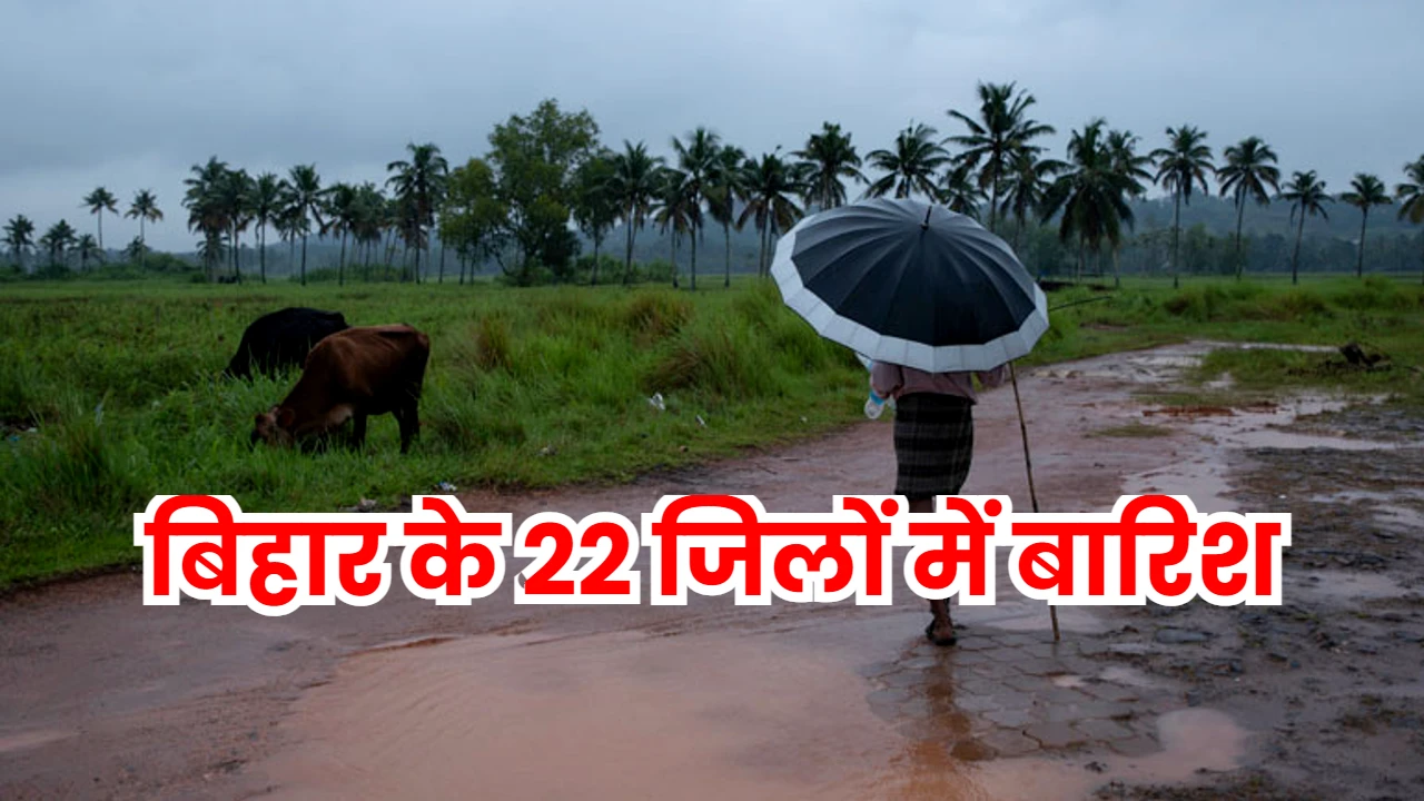 बिहार में बिगड़ा मौसम, 22 जिलों में होगी मूसलाधार बारिश - APANABIHAR